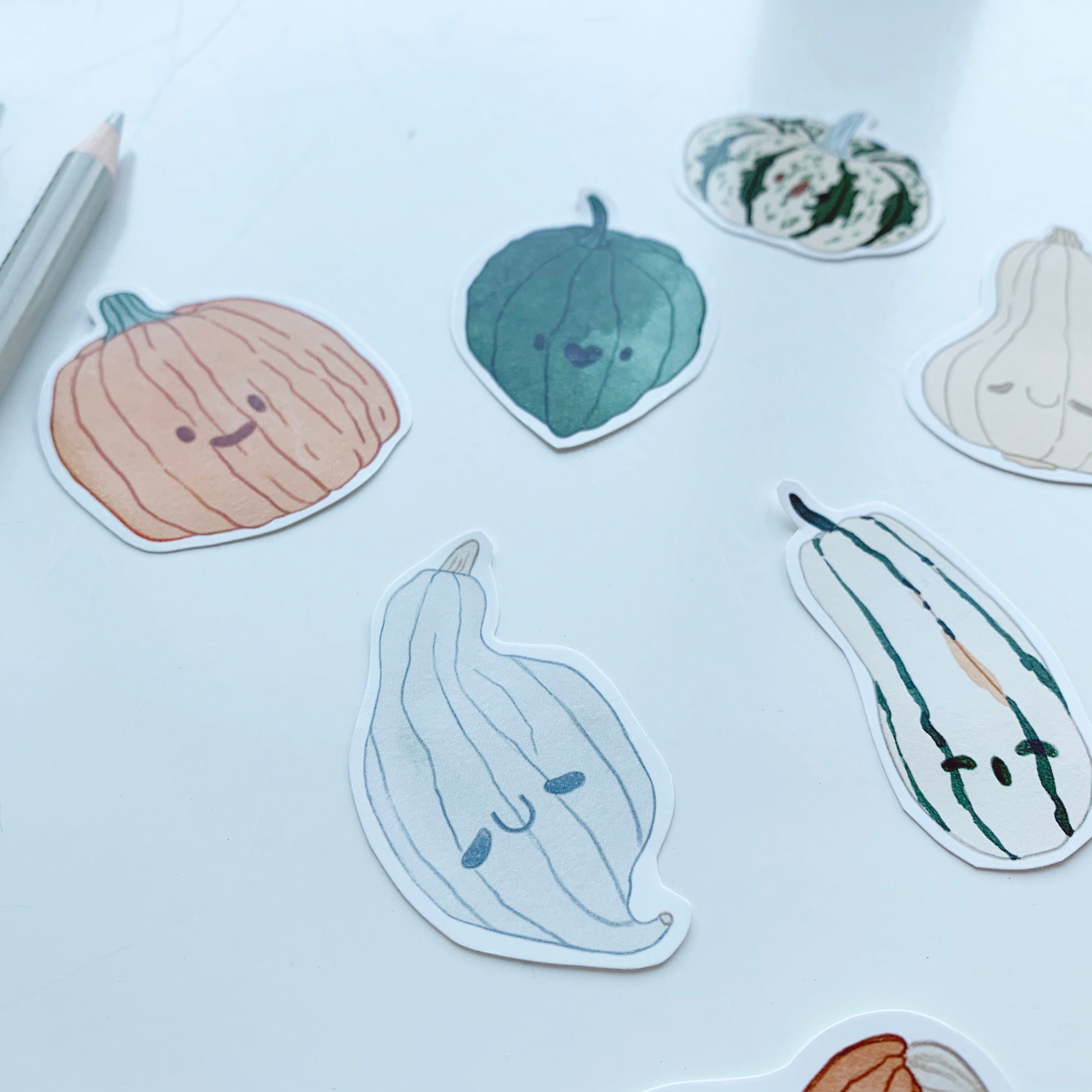 Winter Squash Sticker Set Cute Sticker Pack Vinyl Sticker Pack Sticker ...