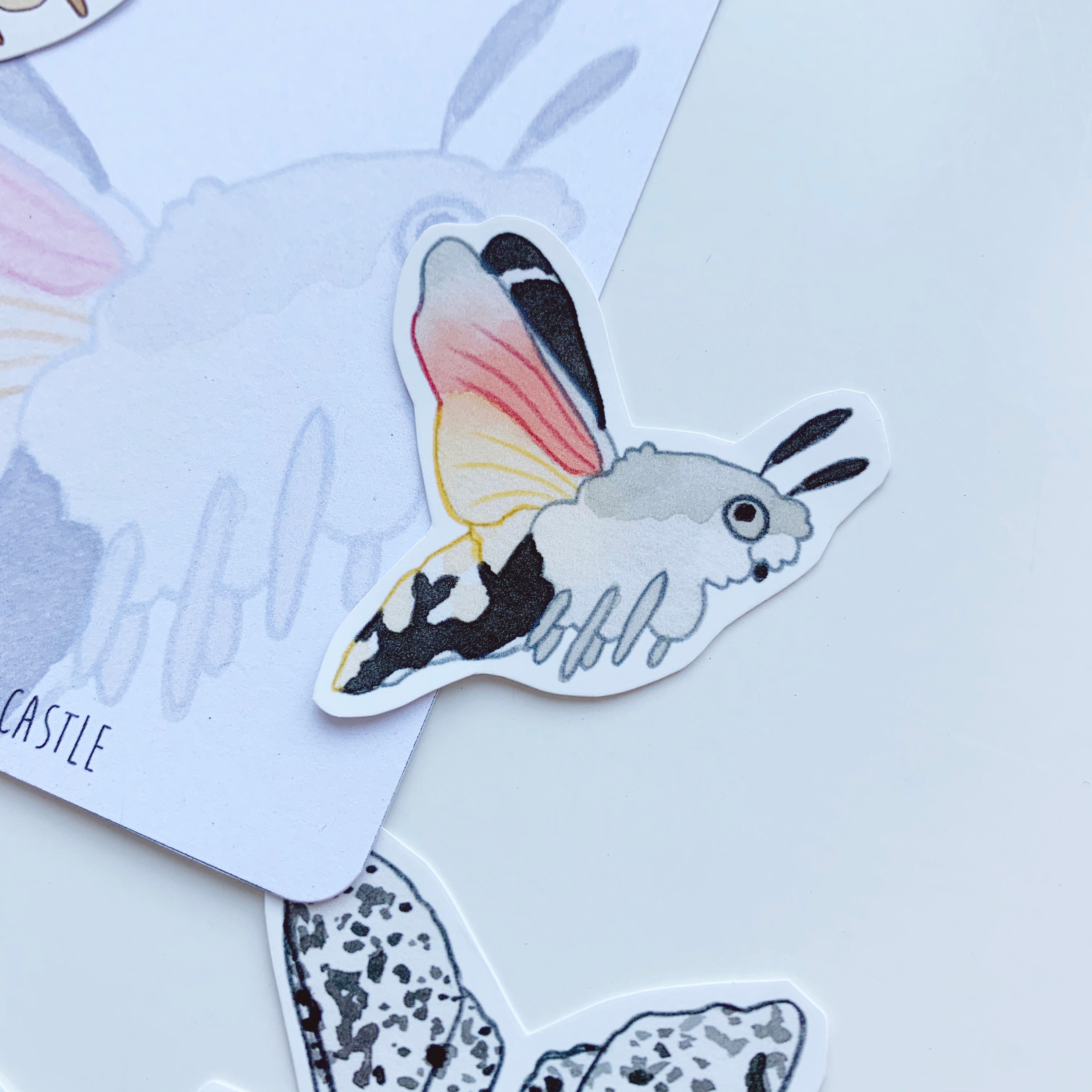 British Moths Sticker Set Cute Sticker Pack Vinyl Sticker - Etsy