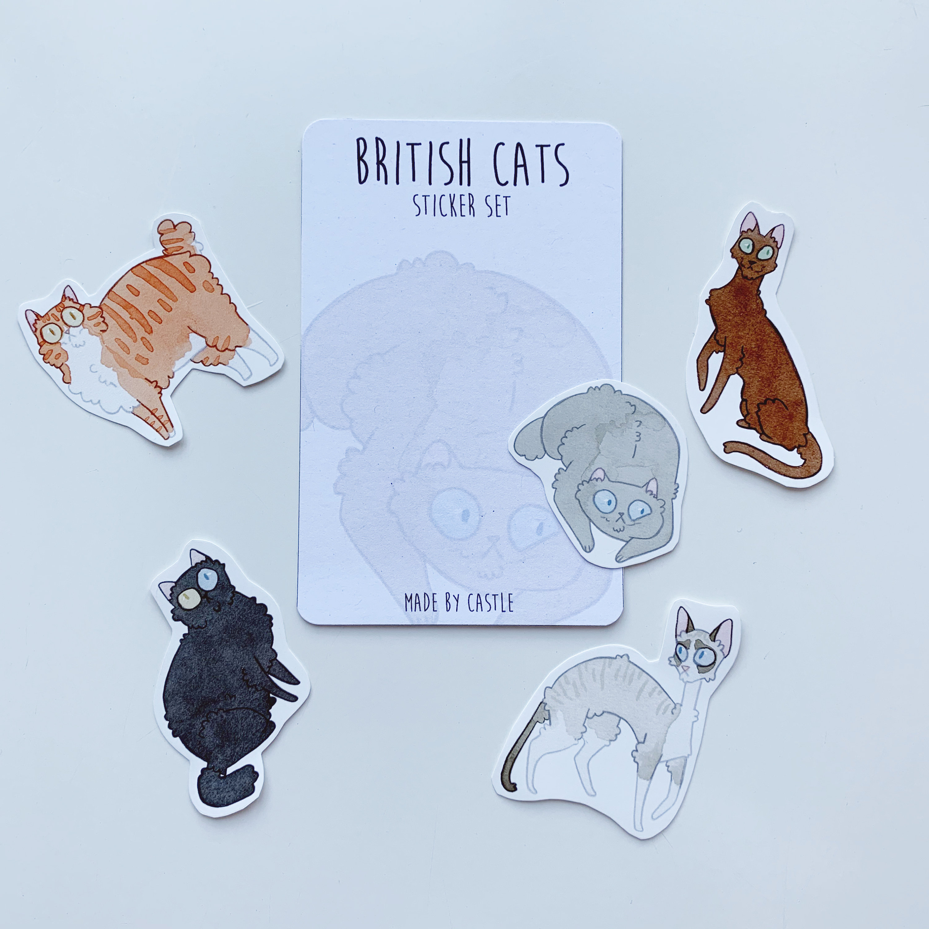 British Cats Sticker Set Cute Sticker Pack Vinyl Sticker Pack Sticker ...