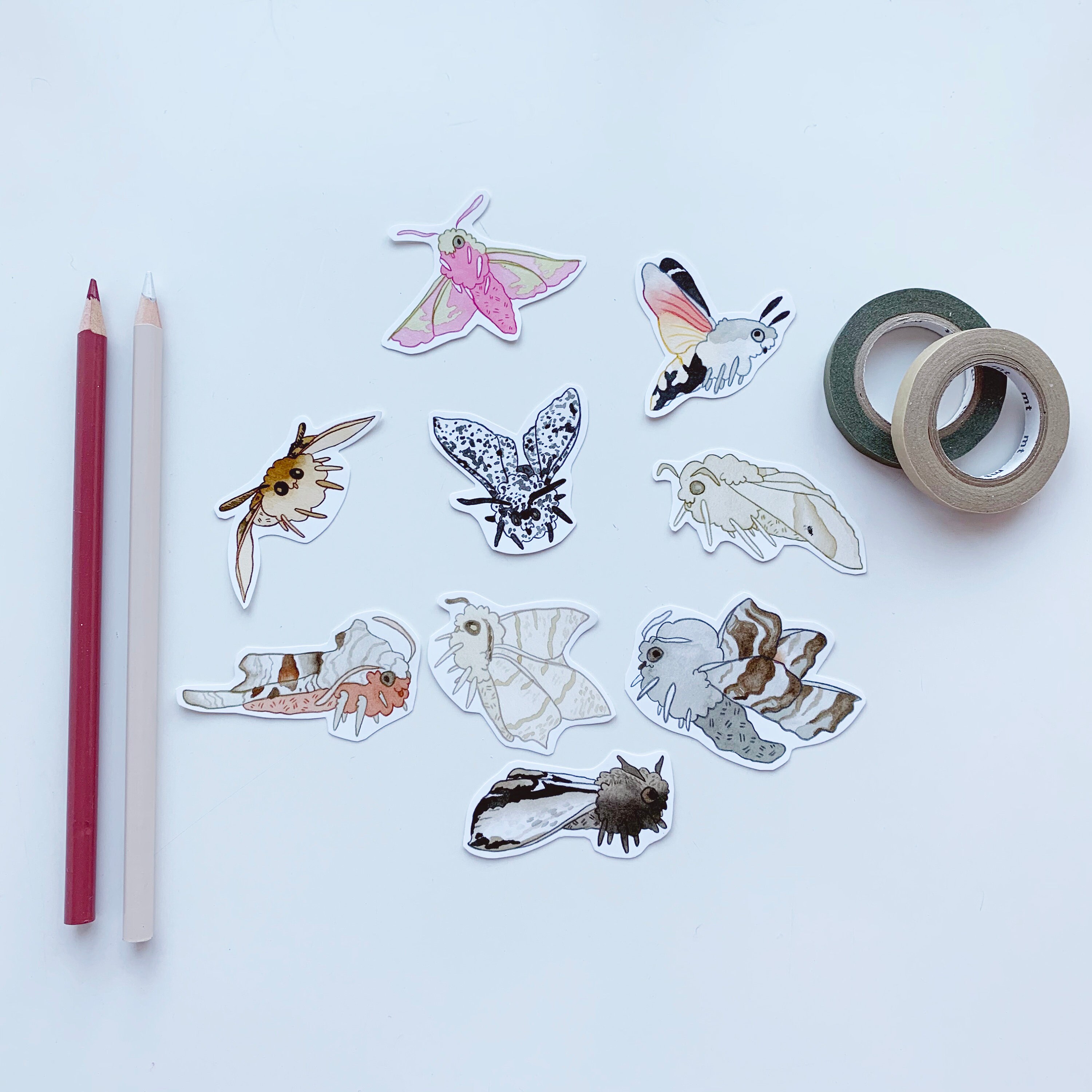 British Moths Sticker Set Cute Sticker Pack Vinyl Sticker - Etsy