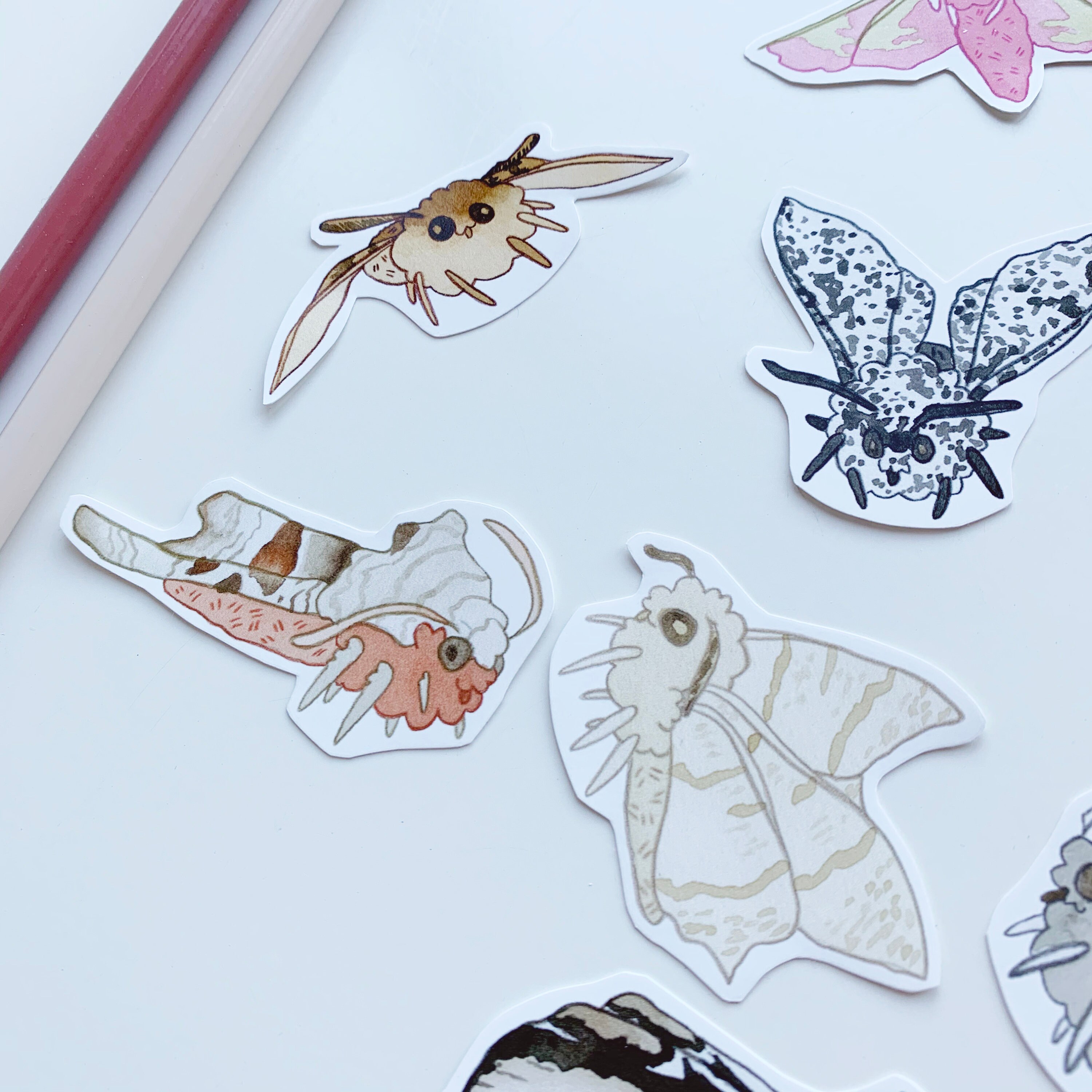 British Moths Sticker Set Cute Sticker Pack Vinyl Sticker - Etsy