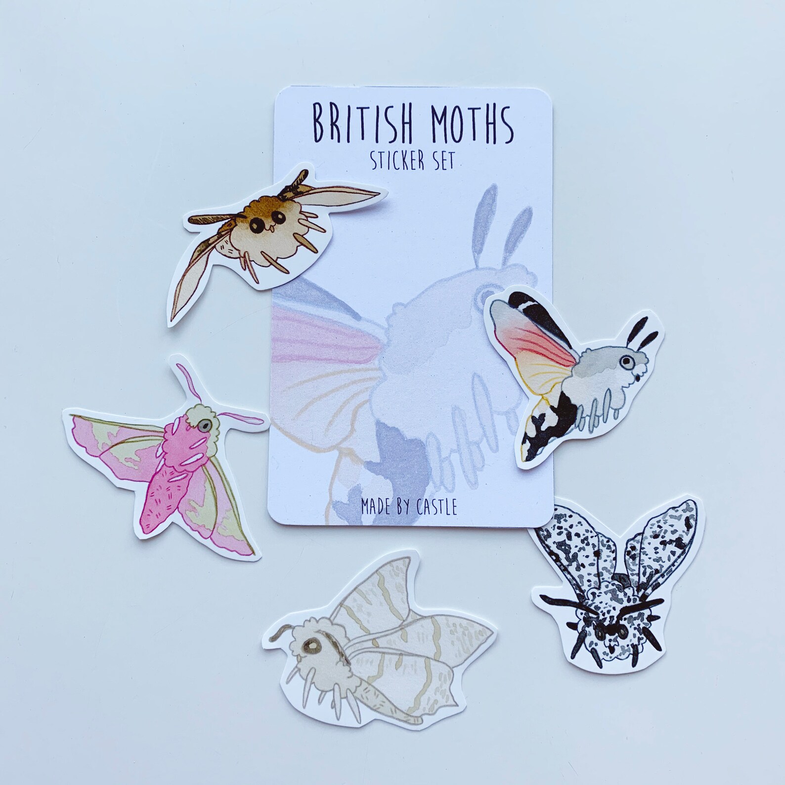 British Moths Sticker Set Cute Sticker Pack Vinyl Sticker - Etsy