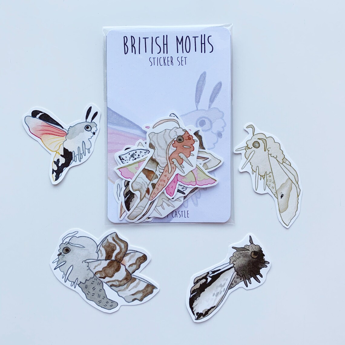 British Moths Sticker Set - Cute Sticker Pack - Vinyl Sticker Pack ...