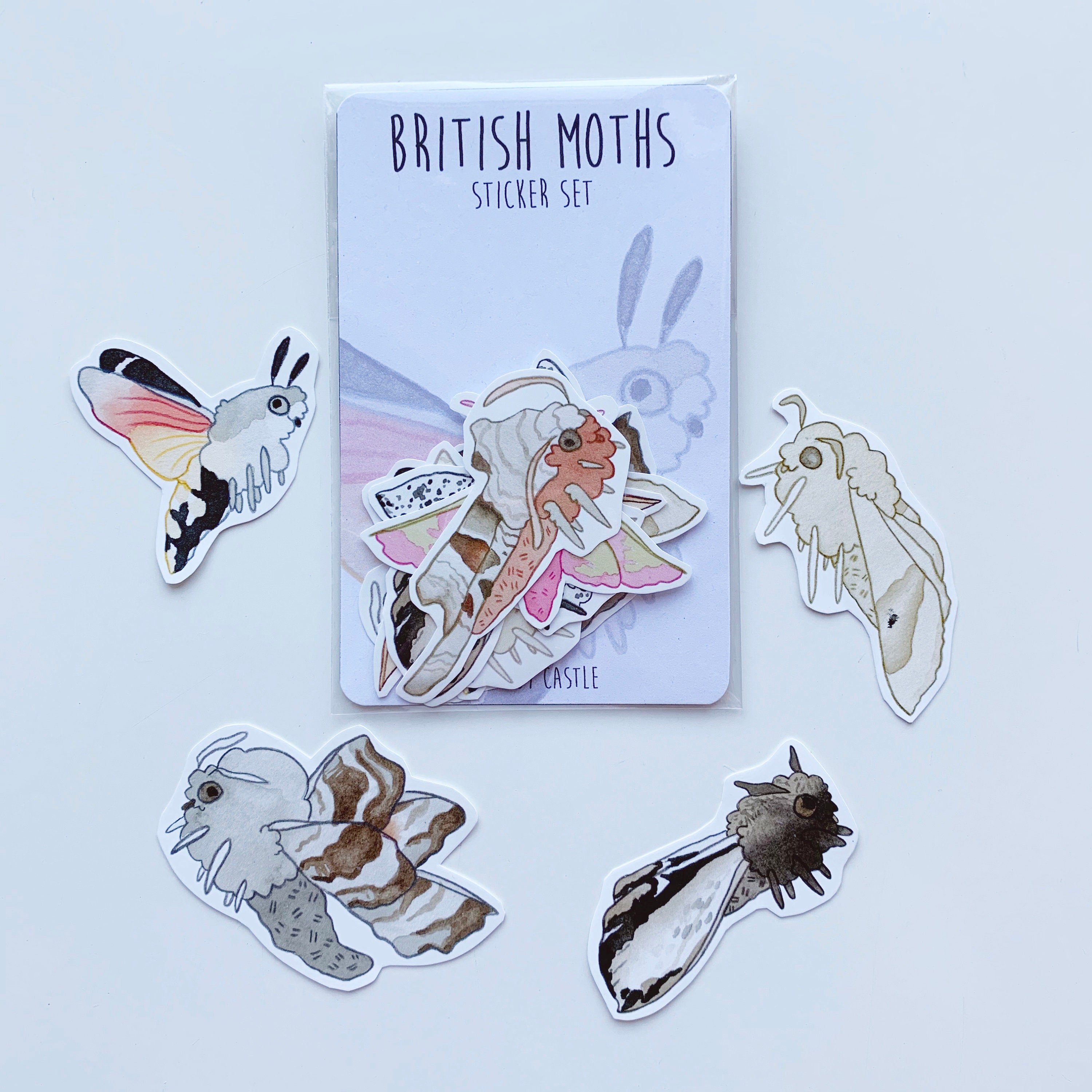 British Moths Sticker Set Cute Sticker Pack Vinyl Sticker - Etsy