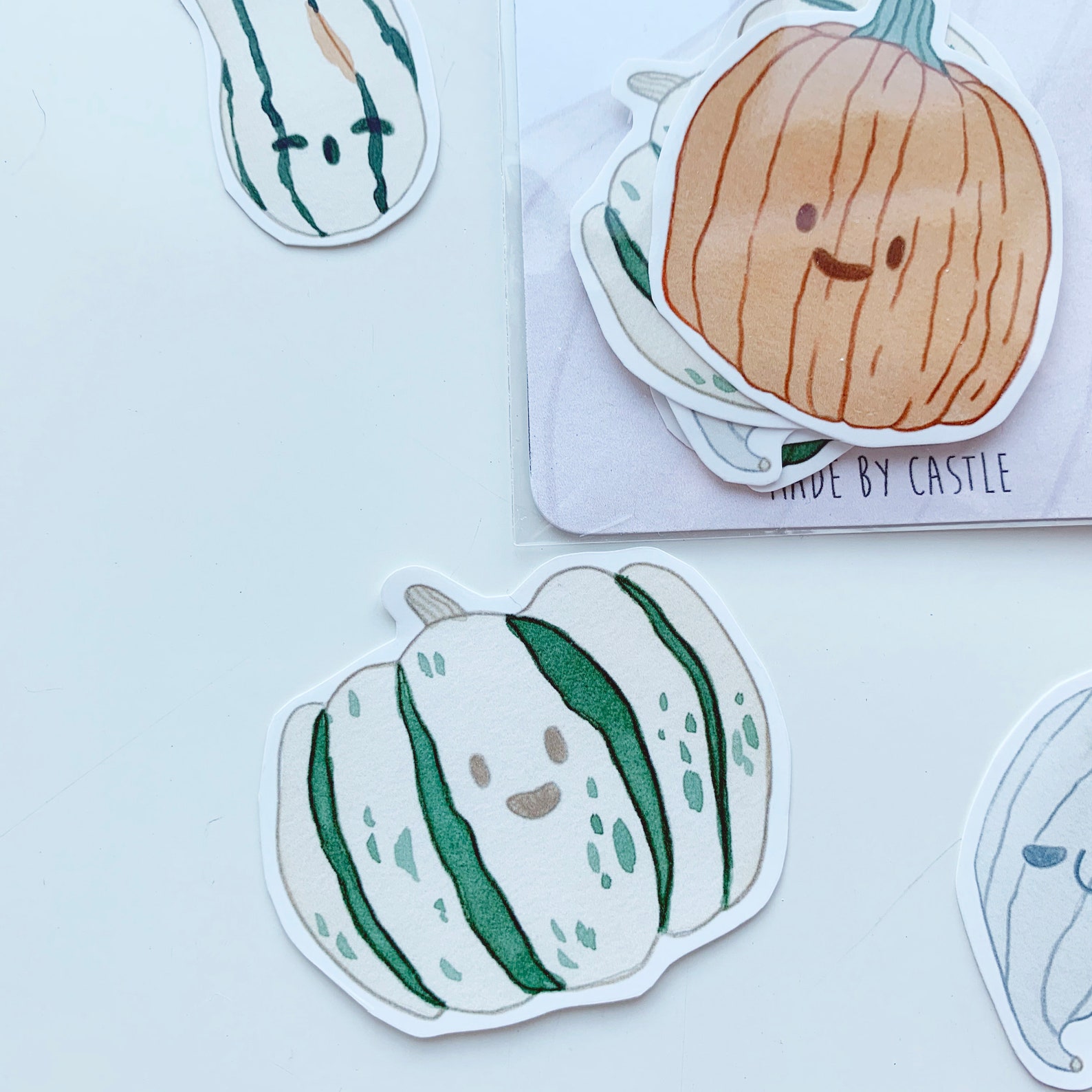 Winter Squash Sticker Set - Cute Sticker Pack - Vinyl Sticker Pack ...