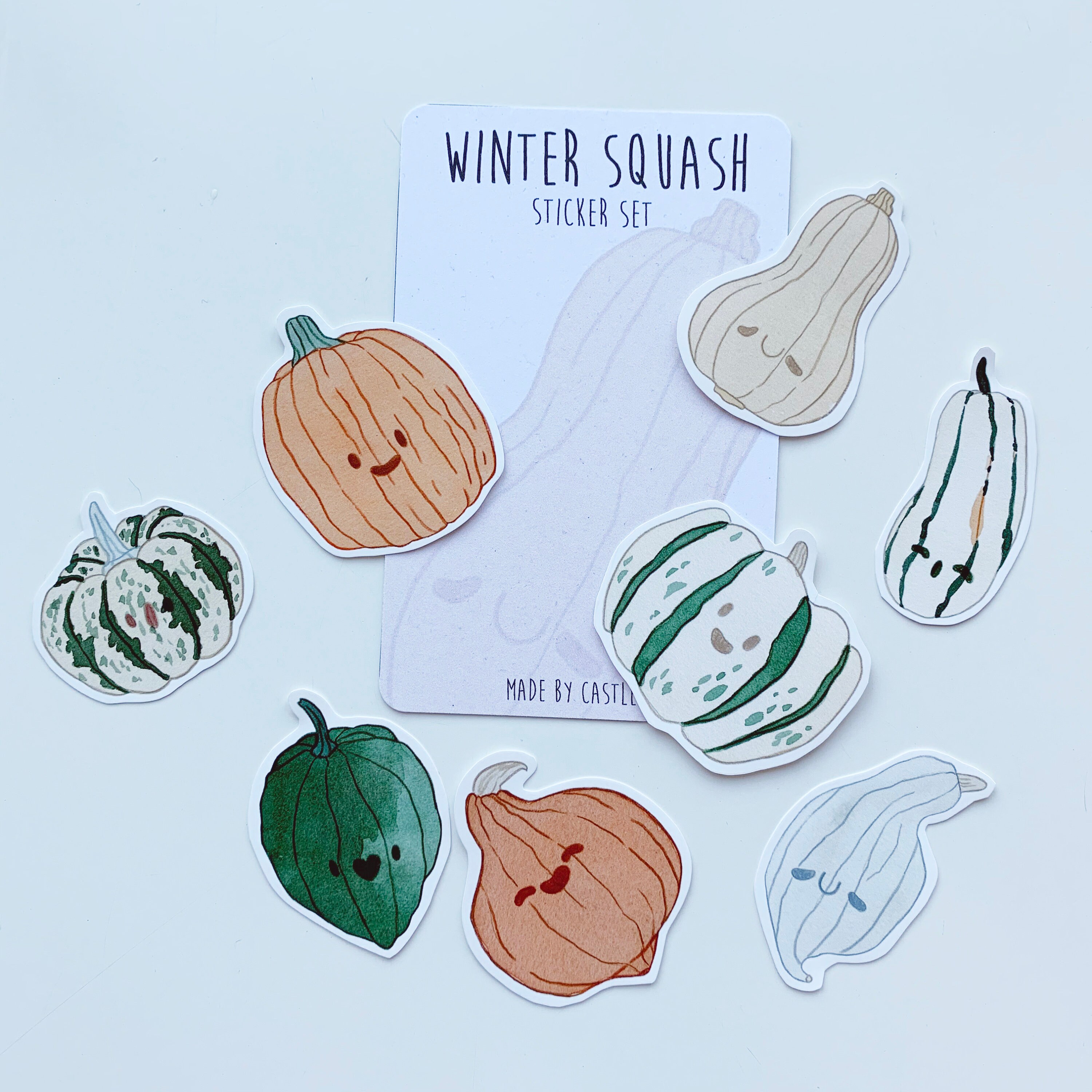 Winter Squash Sticker Set Cute Sticker Pack Vinyl Sticker Pack Sticker ...