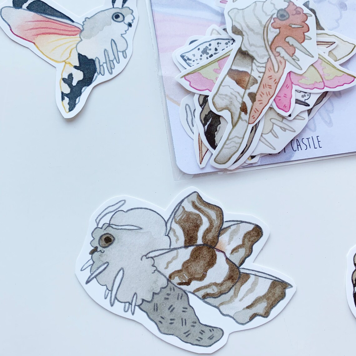 British Moths Sticker Set Cute Sticker Pack Vinyl Sticker - Etsy