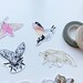 British Moths Sticker Set - Cute Sticker Pack - Vinyl Sticker Pack ...