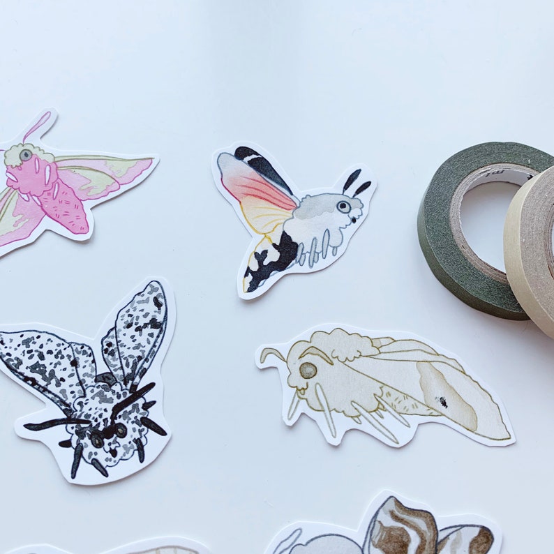 British Moths Sticker Set - Cute Sticker Pack - Vinyl Sticker Pack ...