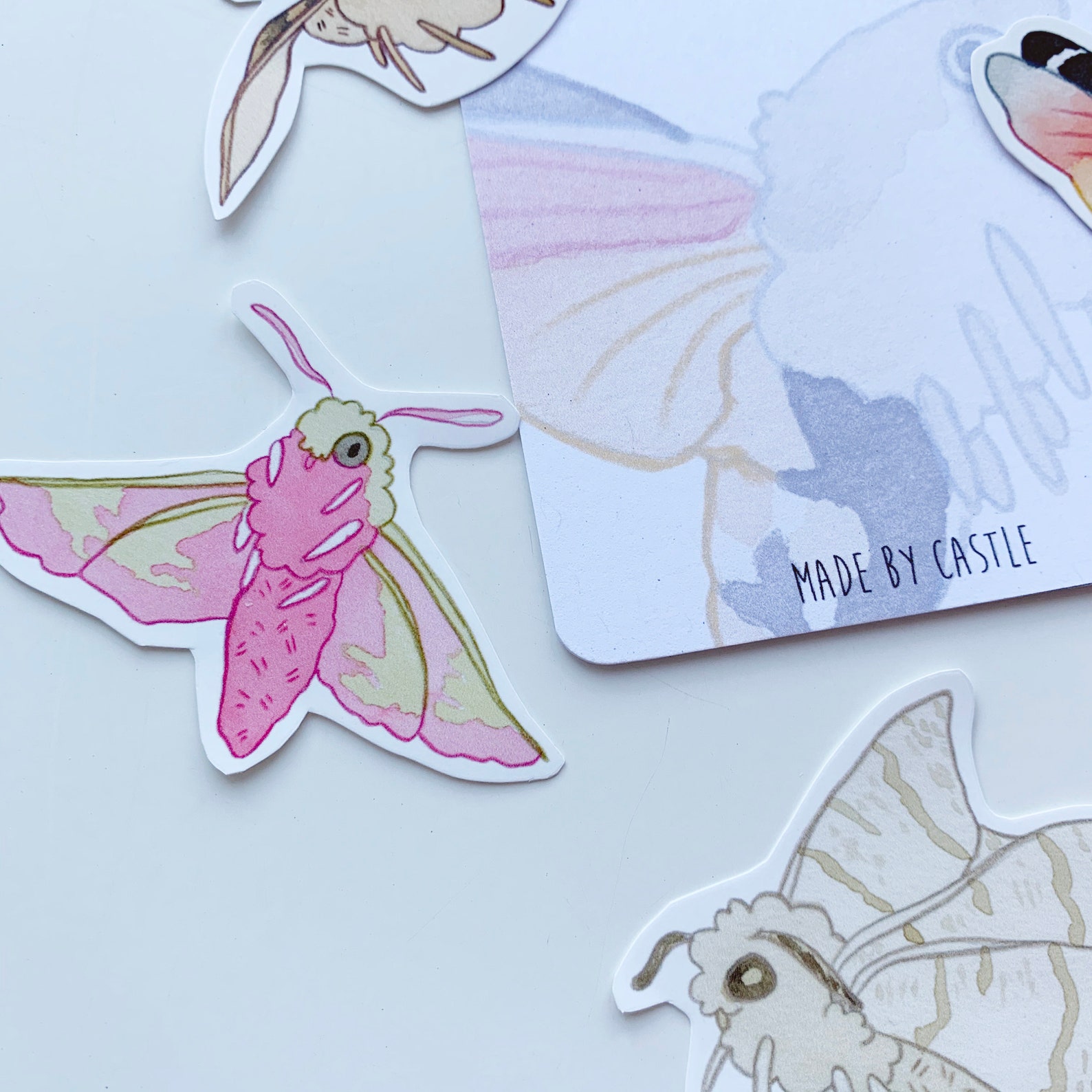 British Moths Sticker Set Cute Sticker Pack Vinyl Sticker - Etsy