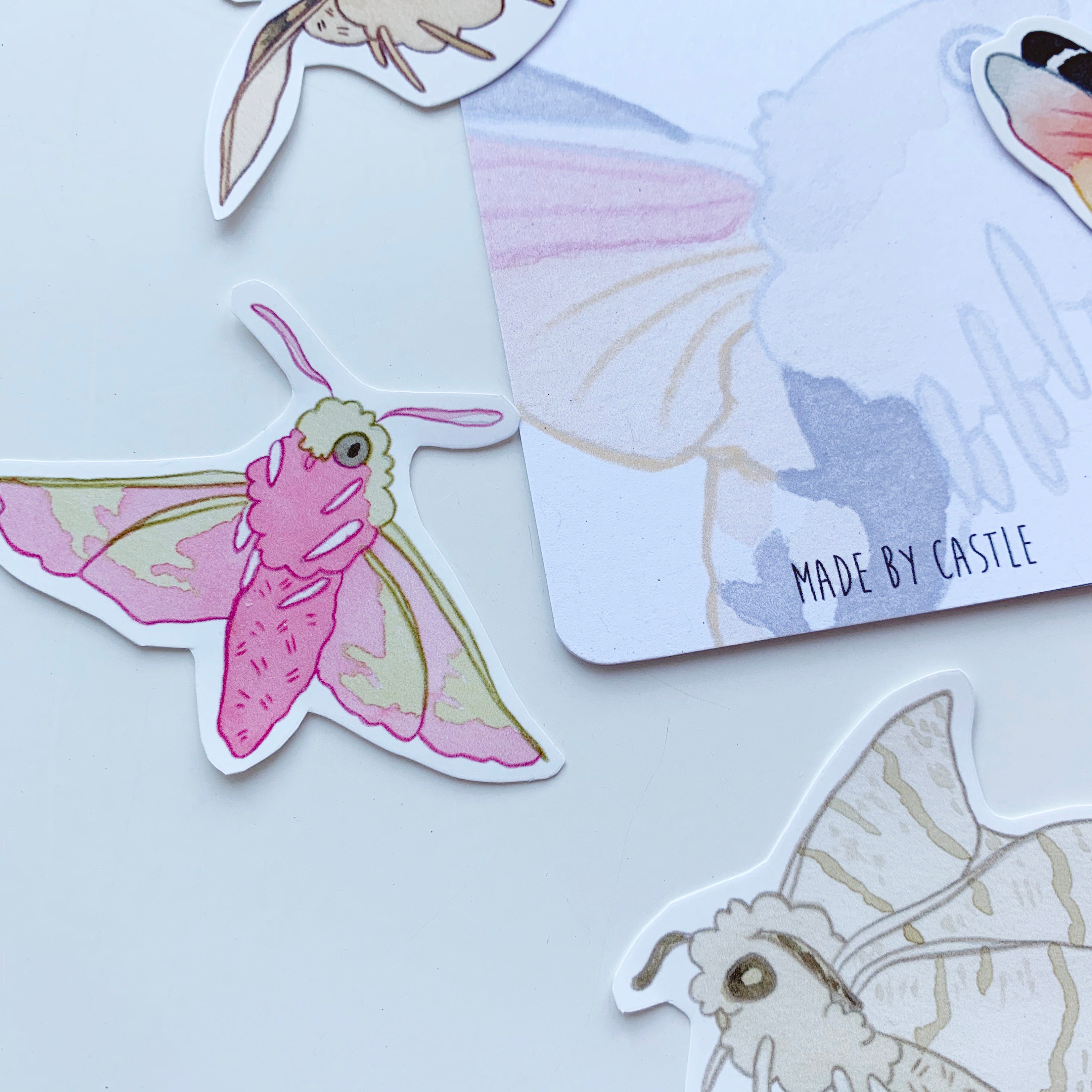 British Moths Sticker Set Cute Sticker Pack Vinyl Sticker - Etsy