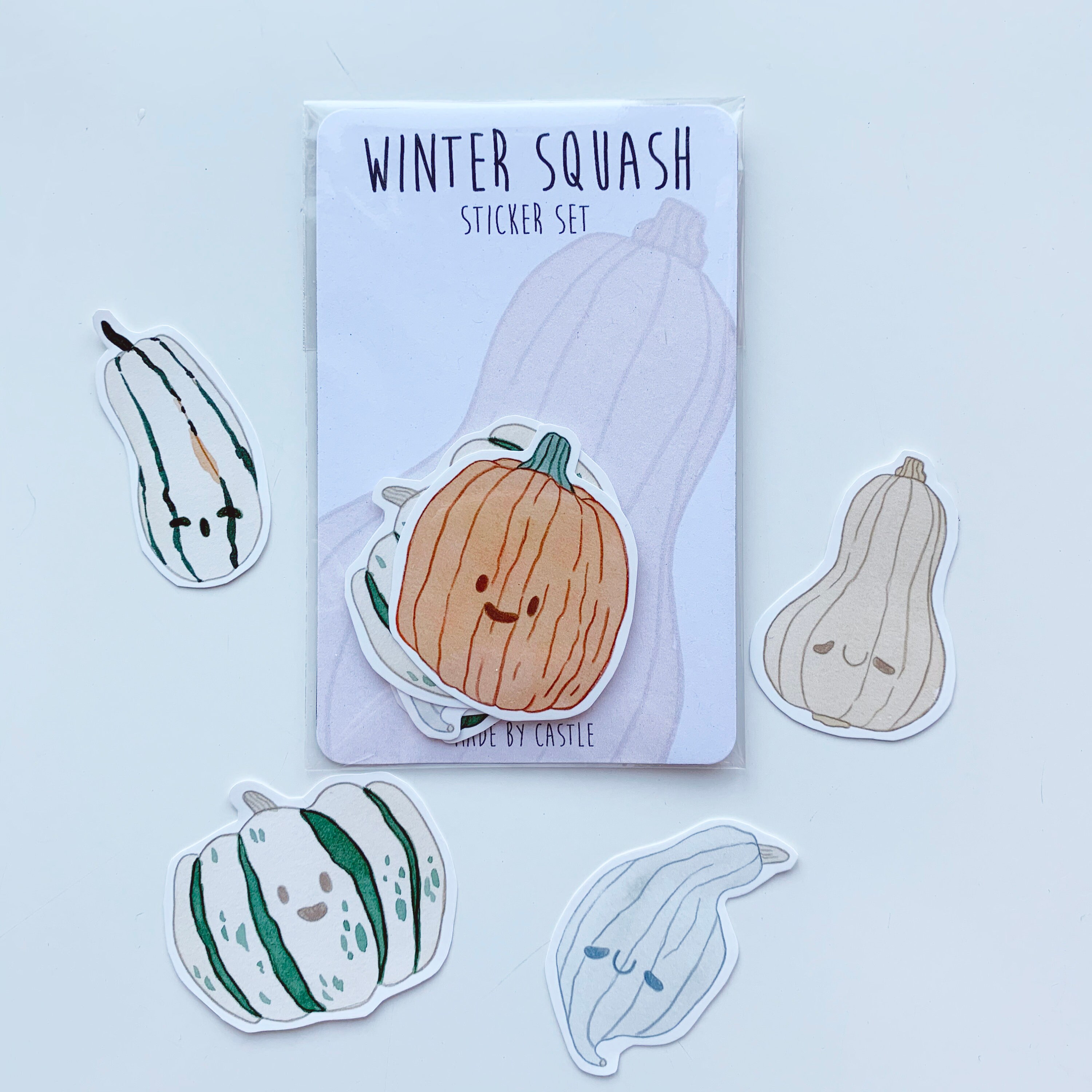 Winter Squash Sticker Set Cute Sticker Pack Vinyl Sticker Pack Sticker ...