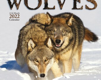 Calendars & Planners Wolves Daily Desktop Spirit of the Wolf 2022 Box ...