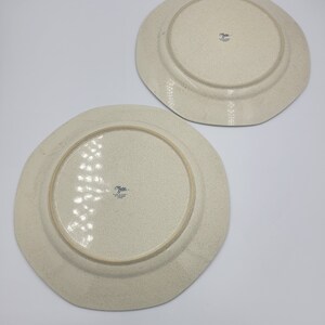Market Square Plain and Fancy Stoneware Dinner Plates, Octagonal Shaped ...