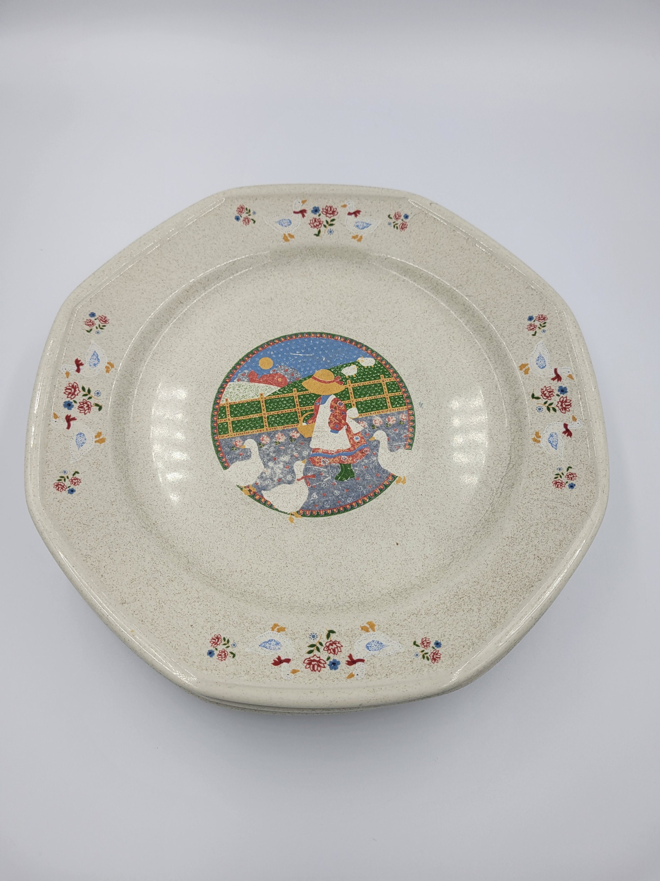 Market Square Plain and Fancy Stoneware Dinner Plates, Octagonal Shaped ...