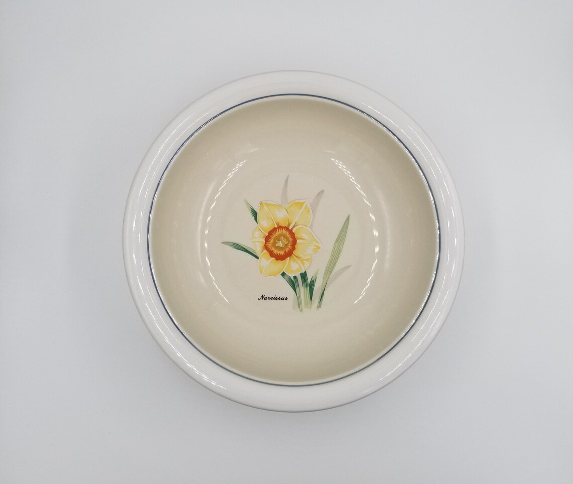 TIENSHAN STONEWARE Botanical Garden Daffodil Soup Bowls Set - Etsy