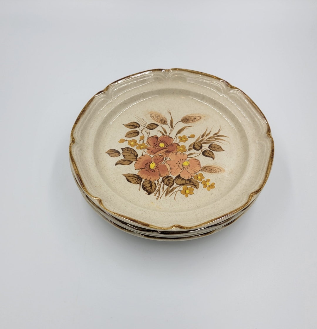 Endura Collection Stoneware Salad Plates, Sandwich Plates, 3 Left ...