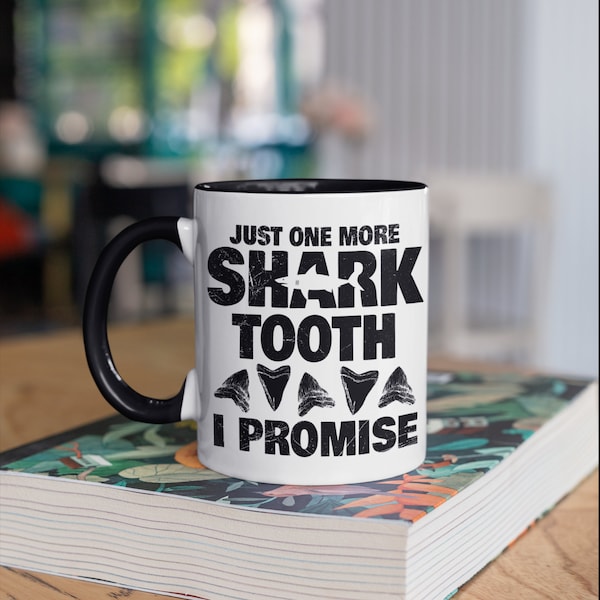 Shark Tooth Display - Etsy