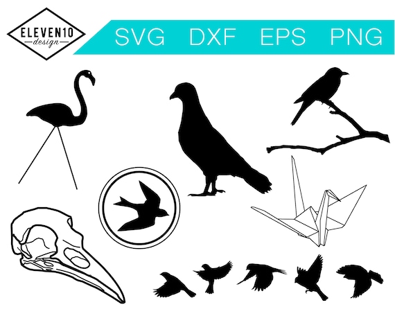 Bird Bundle SVG Cut File bird svg Bundle fly bundle feather | Etsy