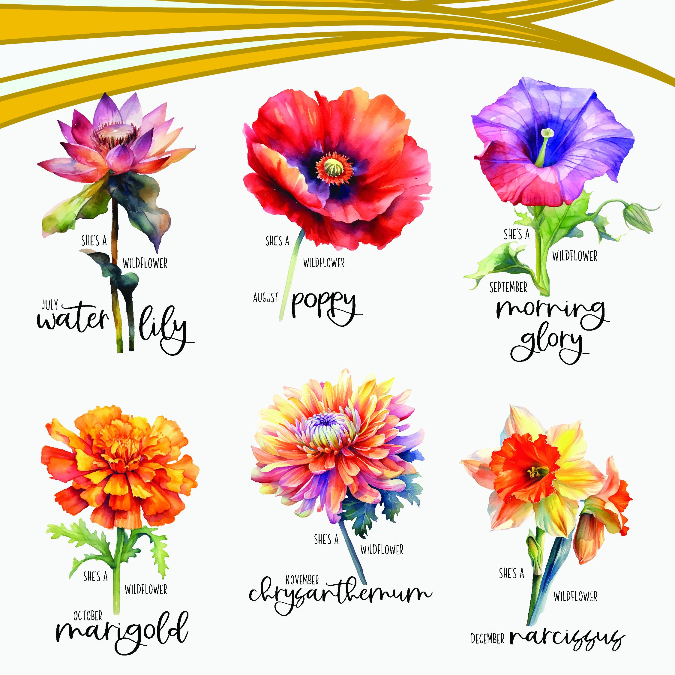 October Birth Month Flower Marigold She's a Wildflower Digital Download ...
