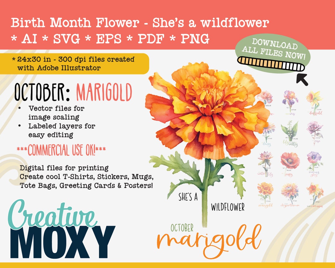 October Birth Month Flower Marigold - She's a Wildflower Digital ...