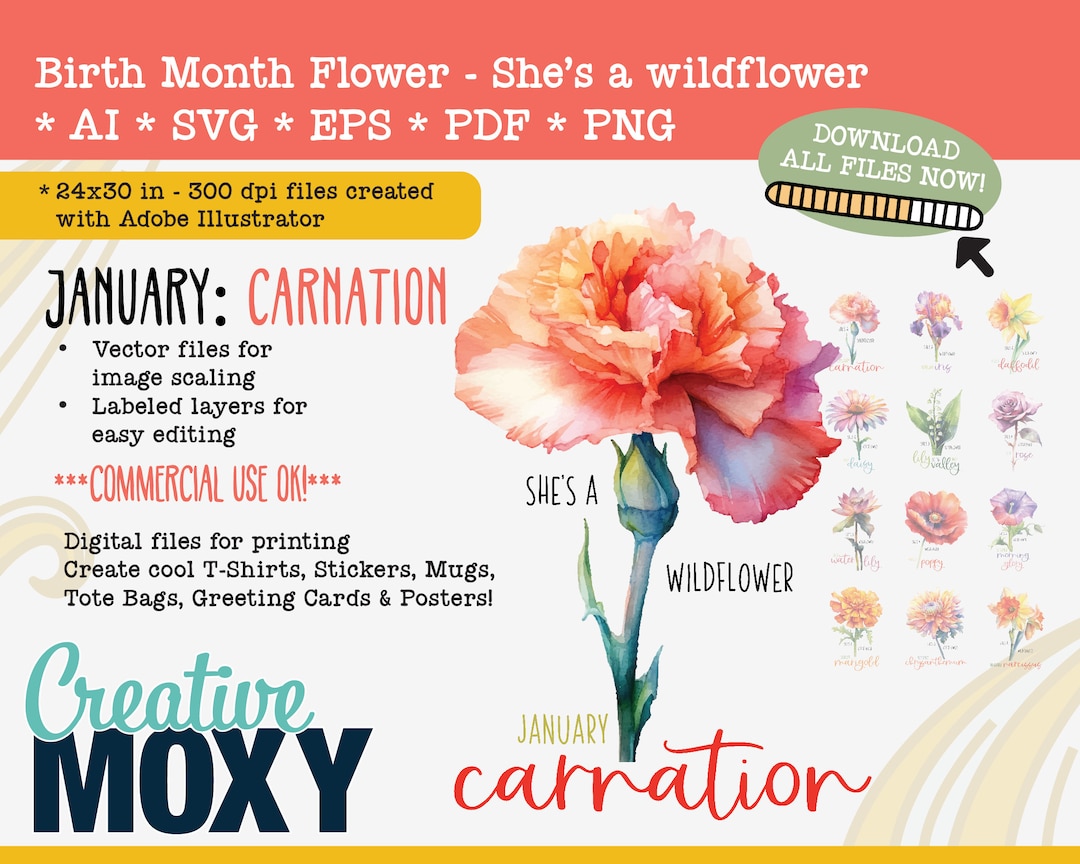 January Birth Month Flower Carnation - She's a Wildflower Digital ...