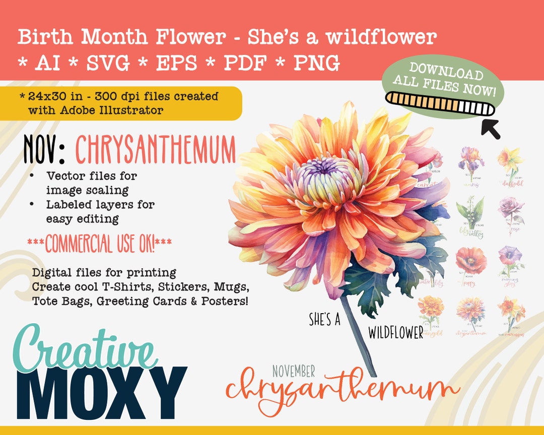 November Birth Month Flower Chrysanthemum - She's a Wildflower Digital ...