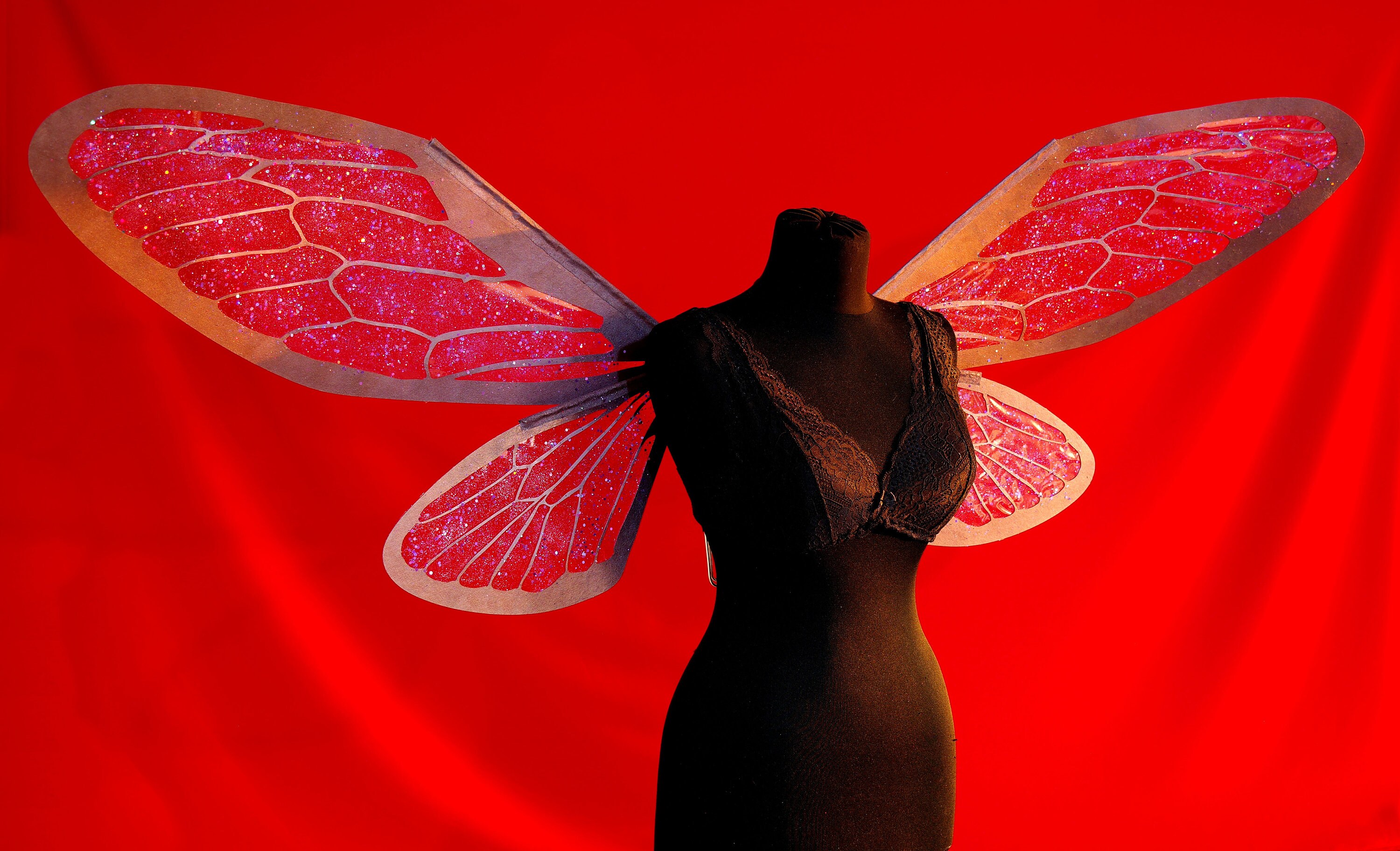 Fairy Style Wing Fairy Wing Costume Wing Glitter Wing Etsy Australia