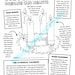 Printable Catholic Advent Full Color Fact Worksheet | Digital Download ...
