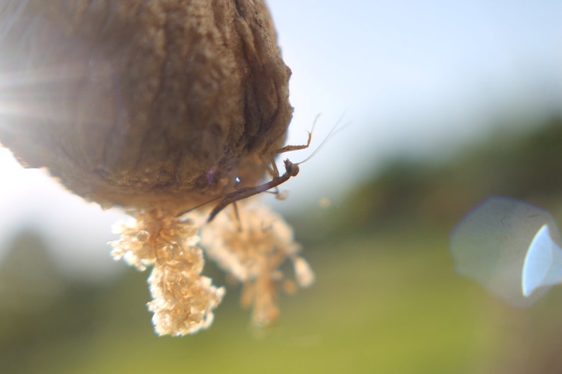 Breakthrough an 8 by 10 Photograph - Etsy