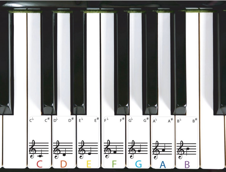 DIGITAL PRINTABLE Piano Keyboard Stickers piano Educational | Etsy Canada