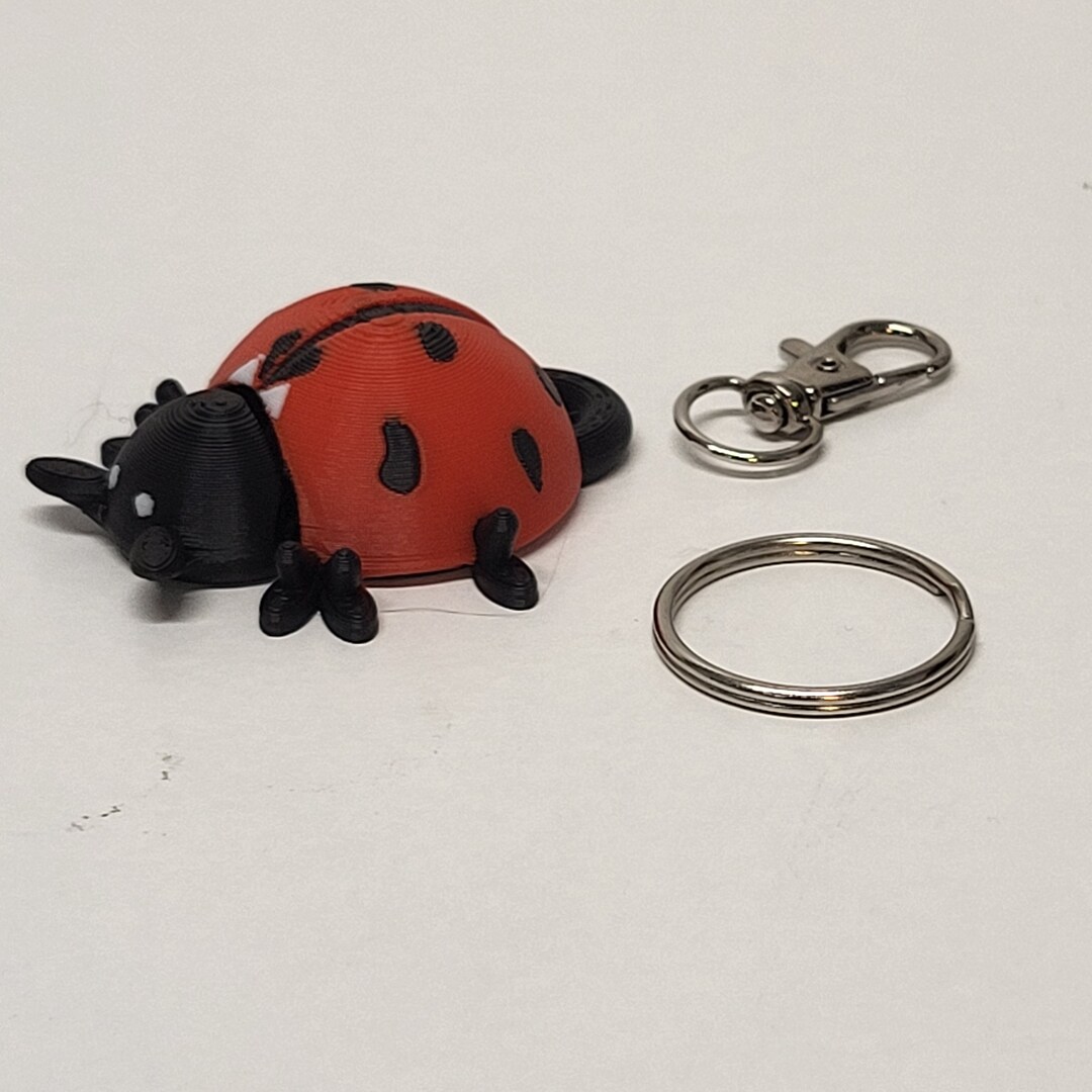 3D Printed Ladybug Fidget & Keychain - Etsy