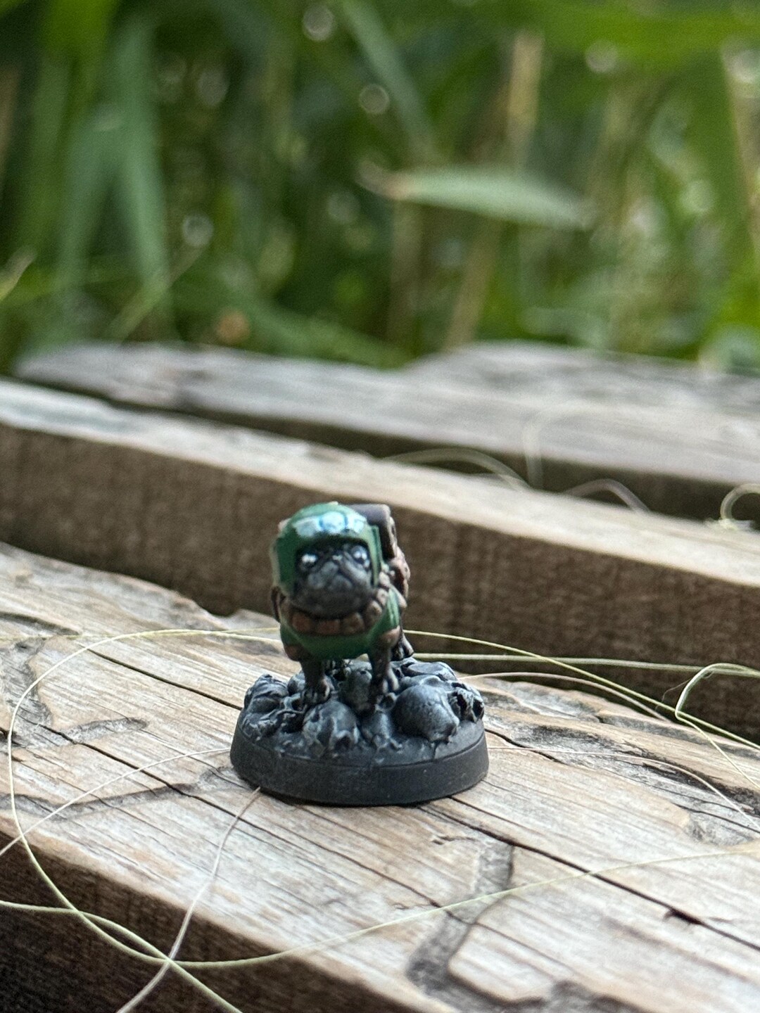 Painted Cadian Pug Miniature, Personalized Dnd Mini, Custom Painting ...