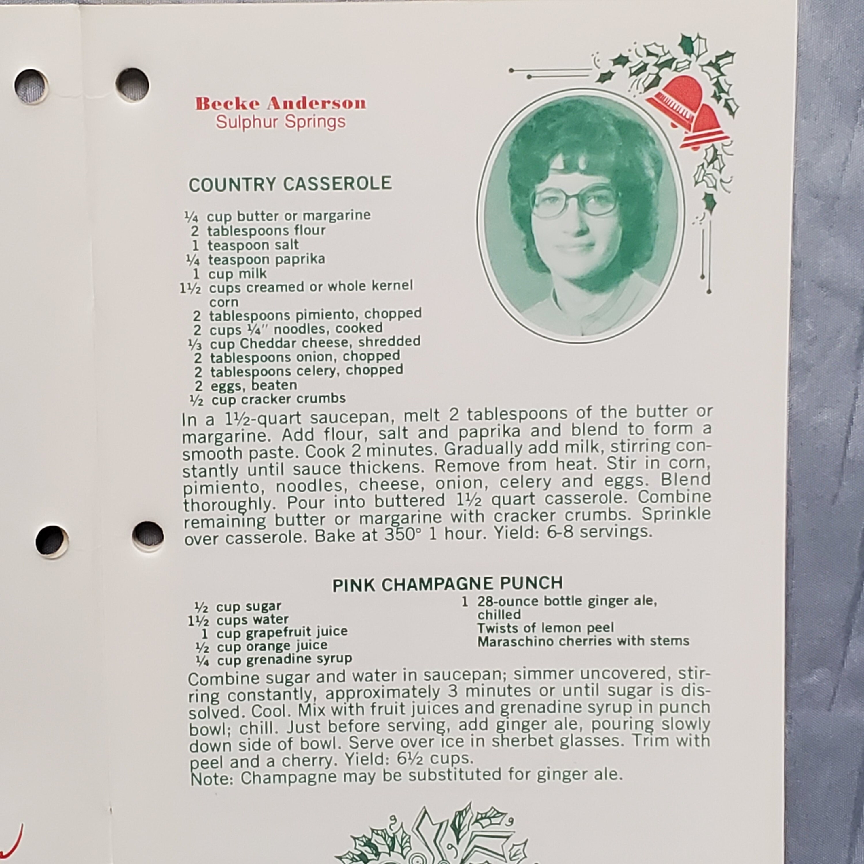 An Epicurean's Holiday 1976 Cook Book - Etsy