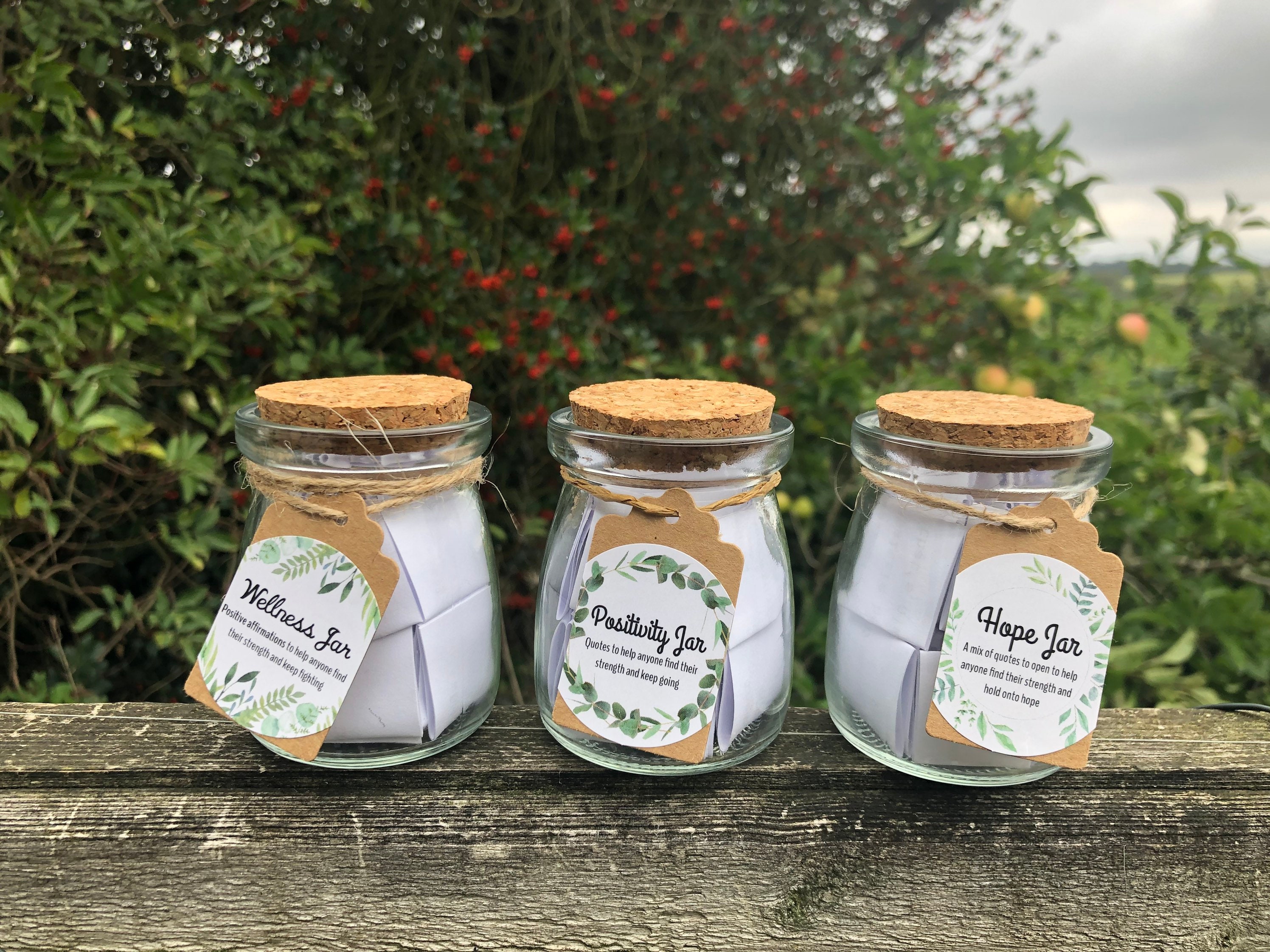 Positivity Jar Wellness Jar and Hope Jar Bundle for Mental | Etsy