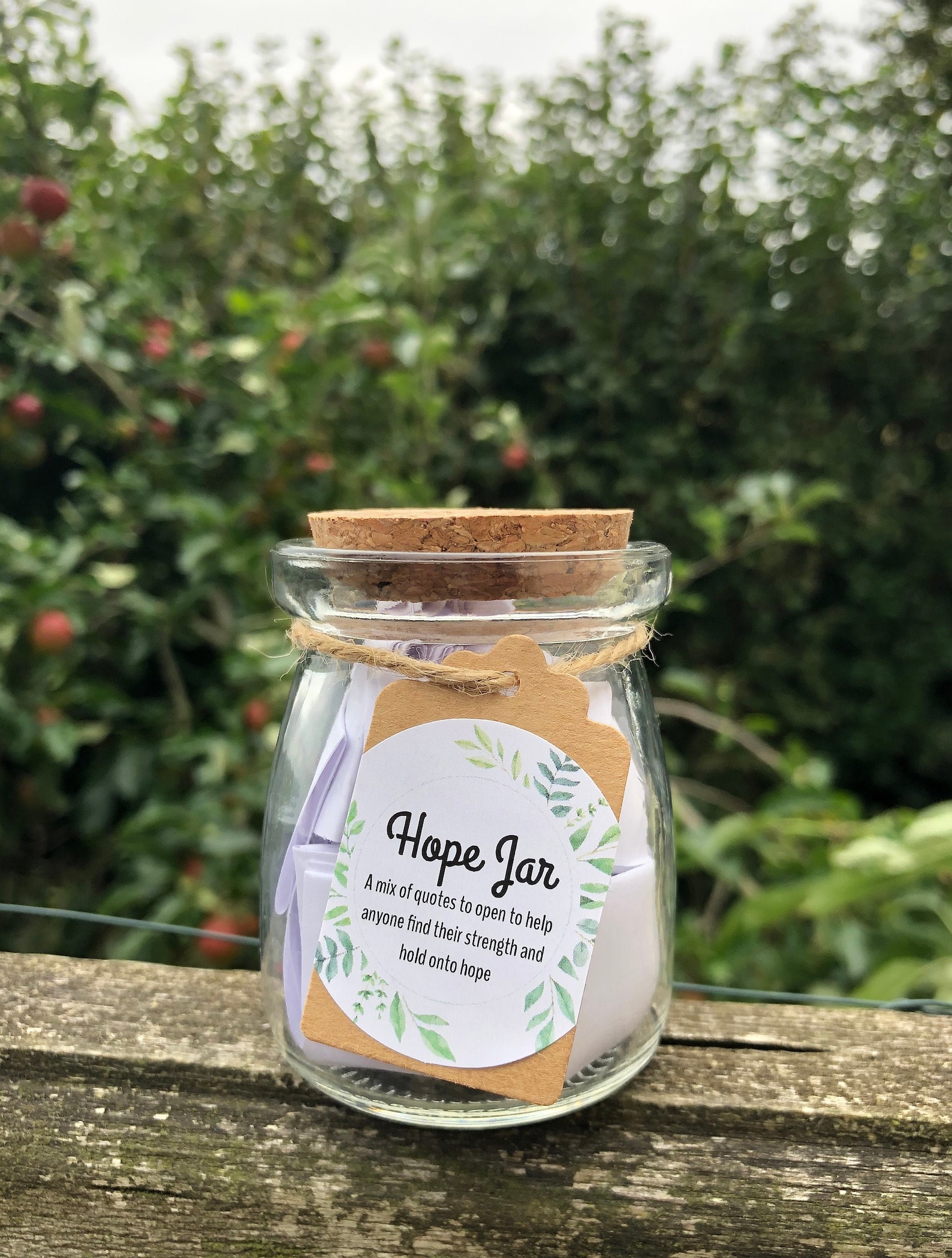 Hope Jar With Positive Quotes Decoration Positive Gift Self | Etsy