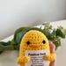 Positive Duck With a Positive Affirmation Message | Animal Crochet ...
