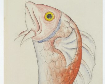 Red Snapper Print - Etsy