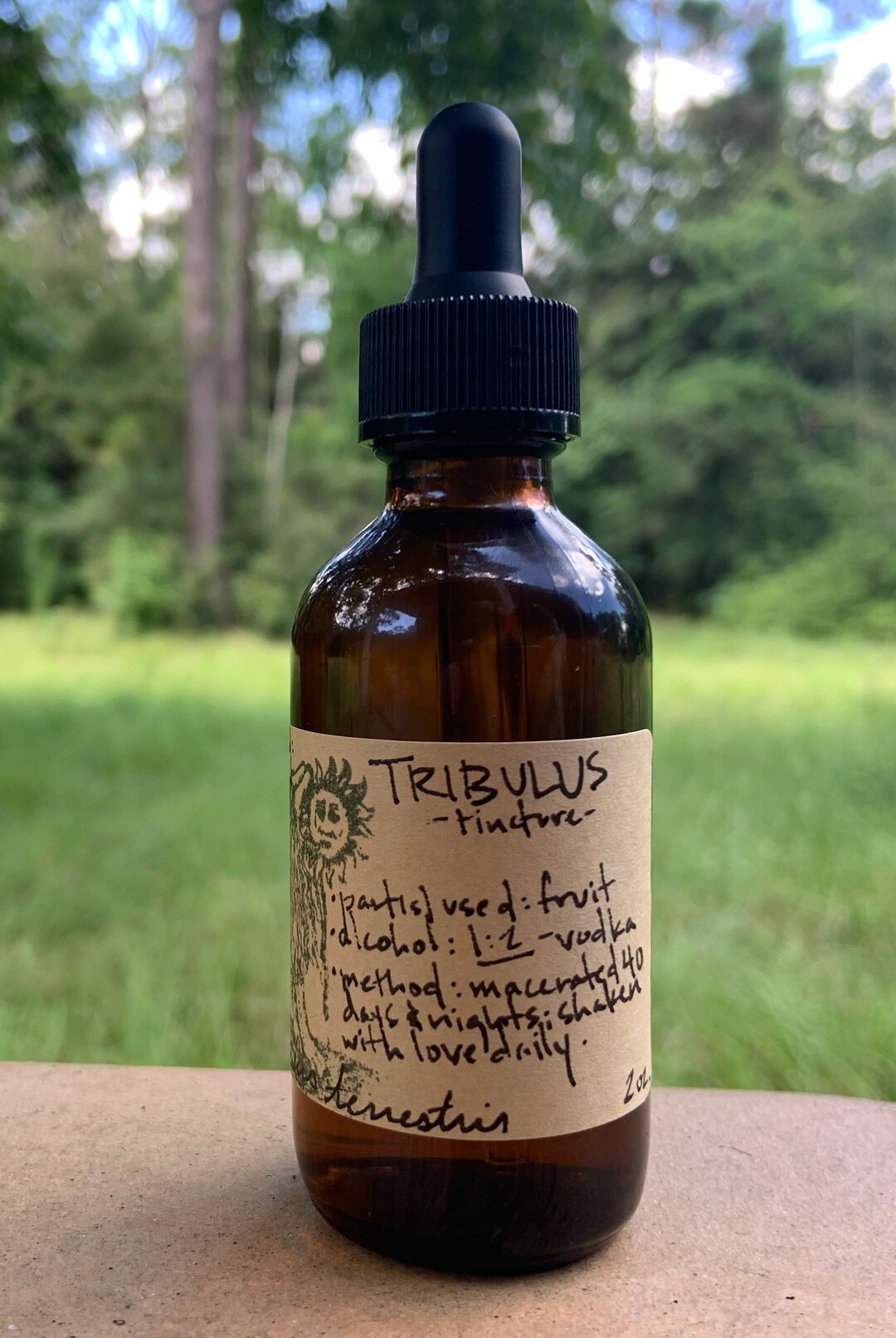 Tincture - TRIBULUS (tribulus Terrestris) - Etsy