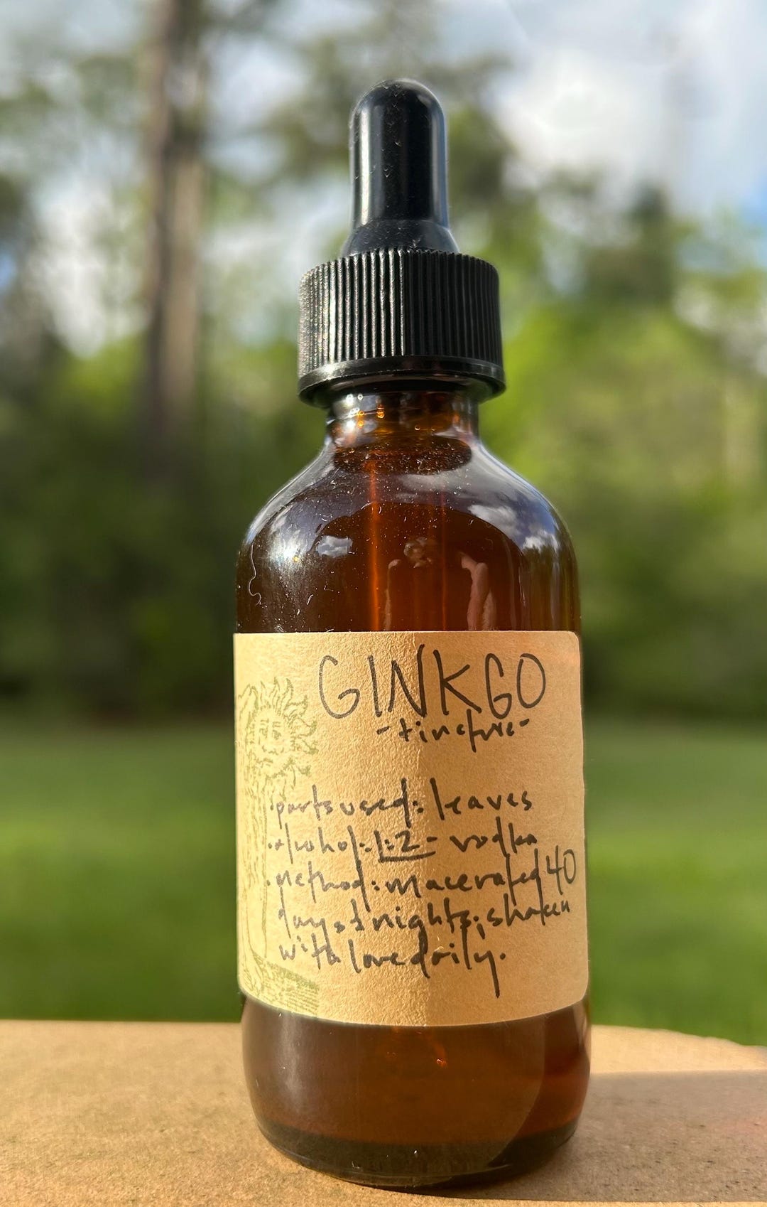 Tincture - GINKGO (ginkgo Biloba) - Etsy