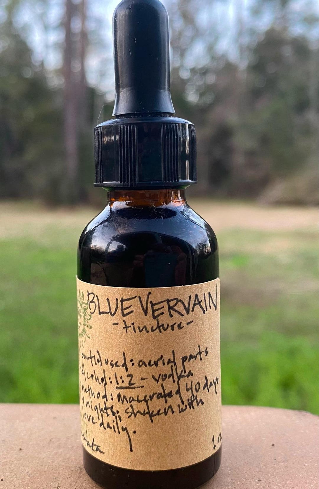 Tincture - BLUE VERVAIN (verbena Hastata) - Etsy
