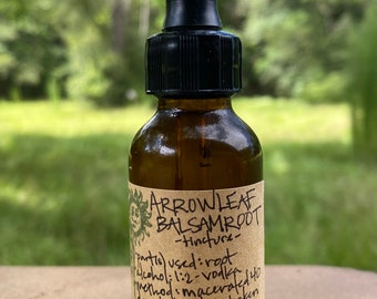 Arrowleaf Balsamroot (balsamorhiza Sagittata) Seed Packet - Etsy