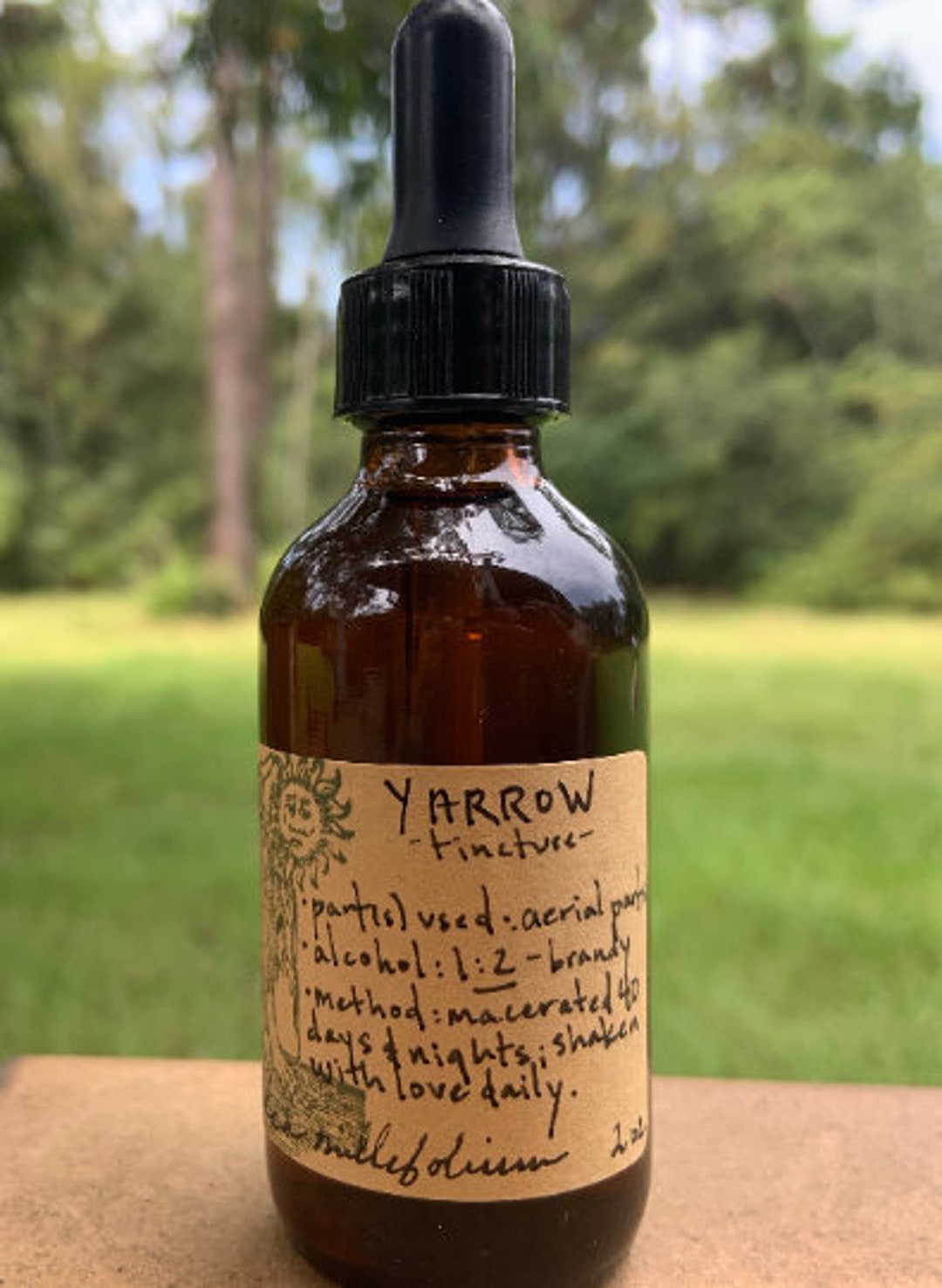 Tincture - YARROW (achillea Millefolium) - Etsy