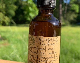 Rat Root Weekas, Sweetflag , Muskrat Root, Acorus Calamus - Etsy