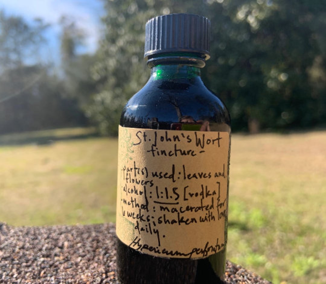 Tincture - ST. JOHN'S WORT (hypericum Perforatum) - Etsy