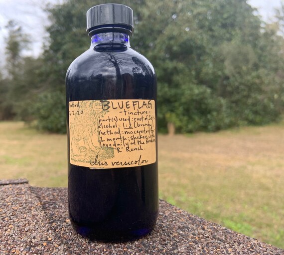 Tincture BLUE FLAG IRIS iris Versicolor | Etsy