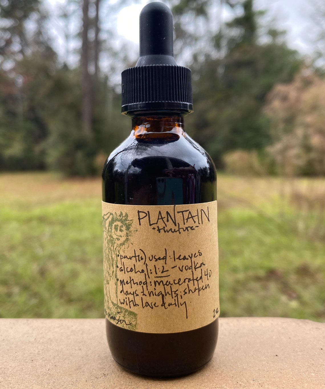 Tincture - PLANTAIN (plantago Lanceolata) - Etsy