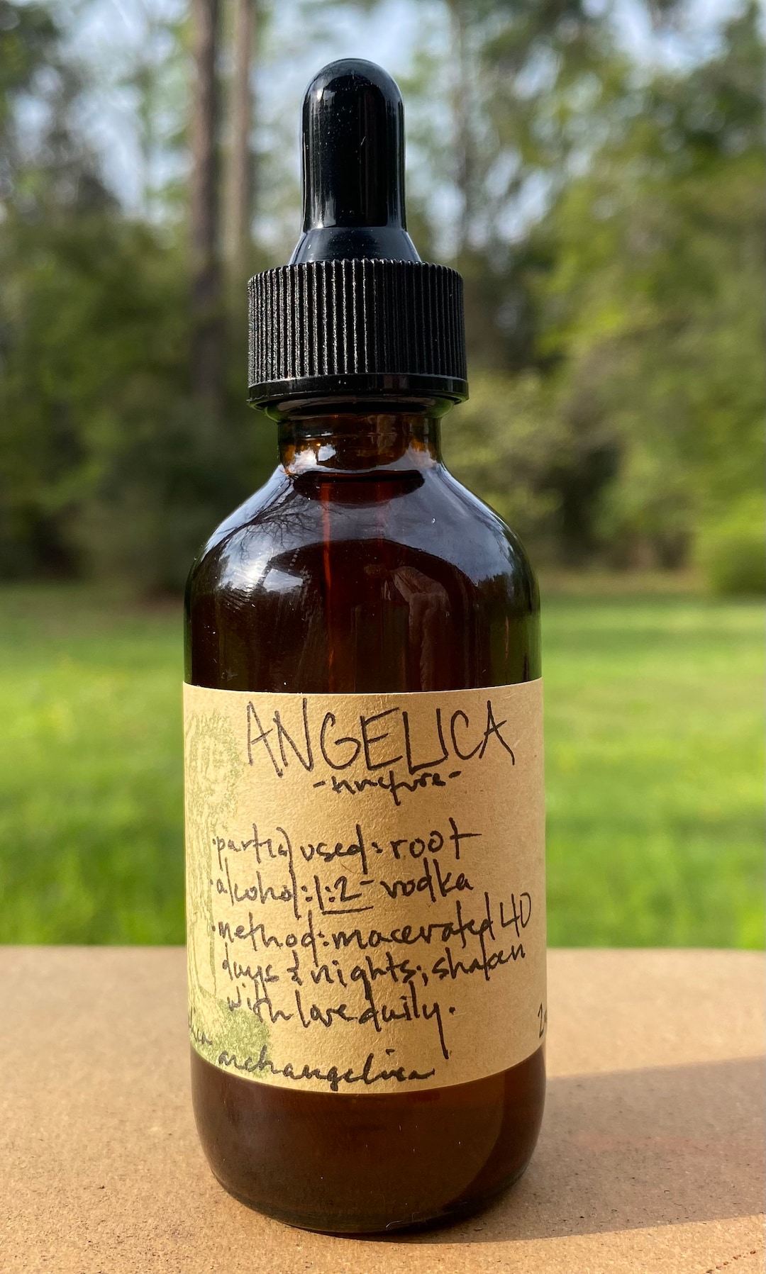 Tincture - ANGELICA (angelica Archangelica) - Etsy