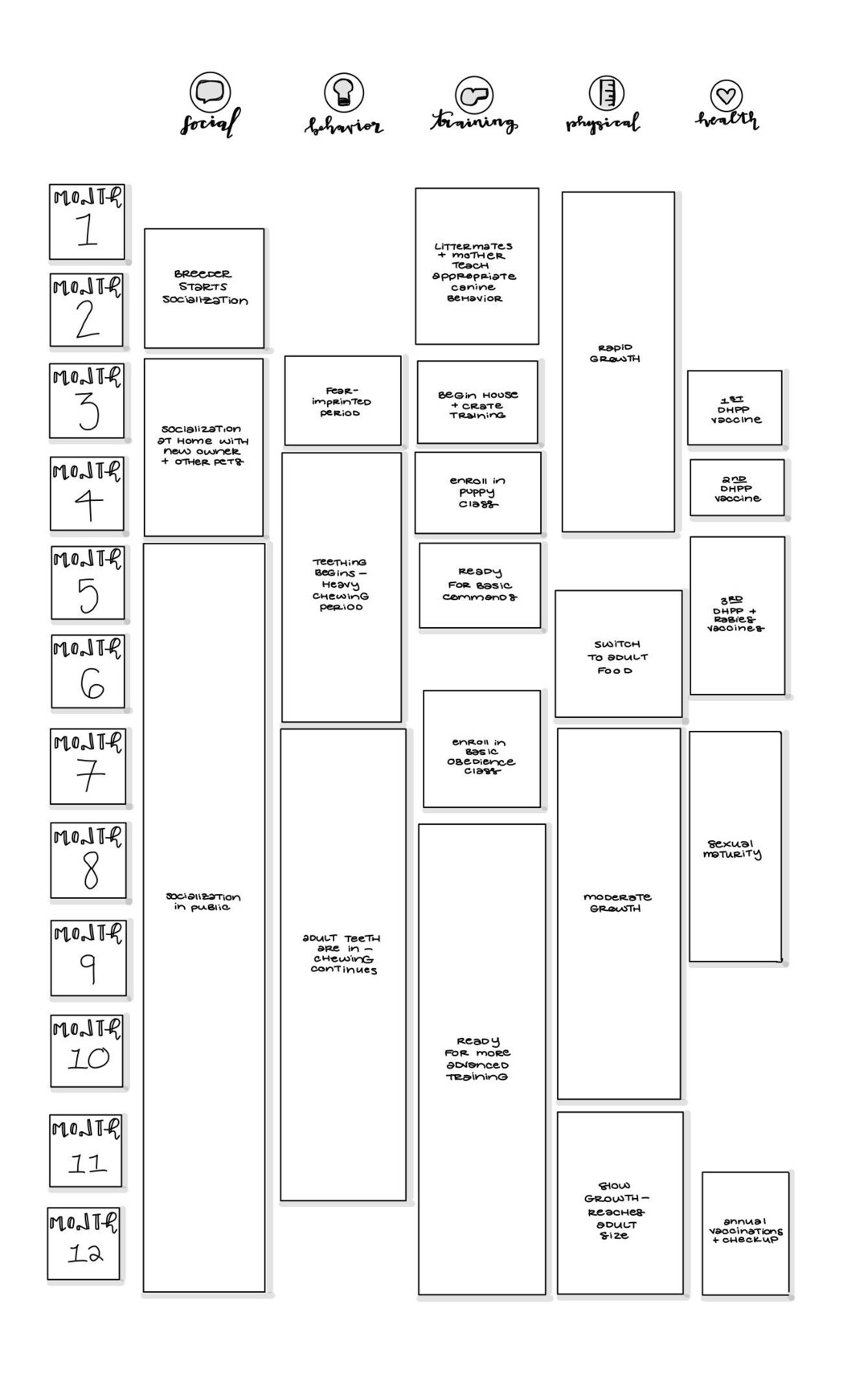 Comprehensive Puppy Development Timeline Chart - Etsy