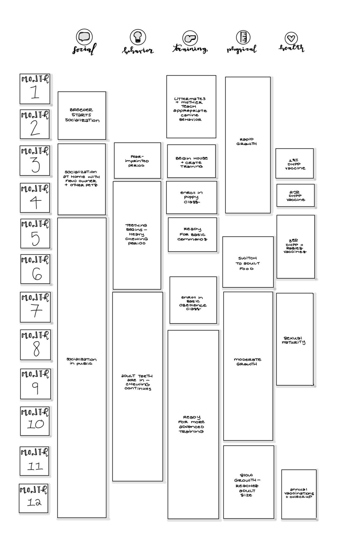 Comprehensive Puppy Development Timeline Chart - Etsy